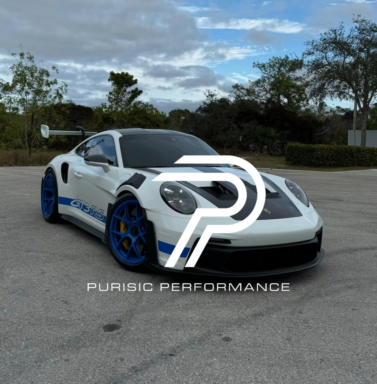 Purisic Performance
